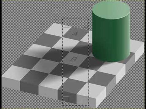 Optical Illusion Are Squares A B The Same Colors Or Different
