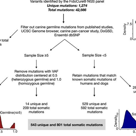 Germline Somatic Mutation Discrimination Pipeline The Pipeline First Download Scientific