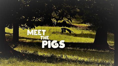Meet The Pigs Watch Free Online Documentaries