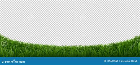 Realistic Grass Border Green Herb Lawn Garden Herb Plants Frame