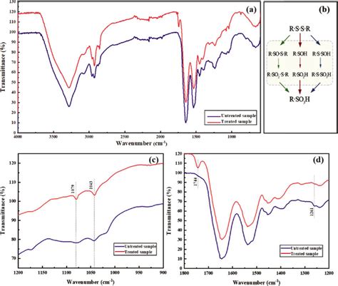 Ftir Spectroscopy Of Untreated And Treate D Wool Samples A Ftir In Download Scientific