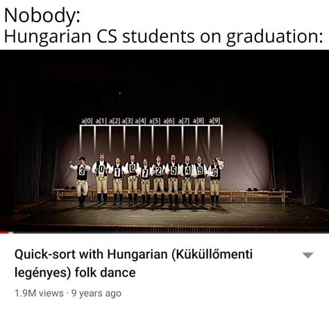 Could You Please Perform A Quicksort Rprogrammerhumor