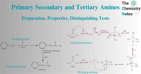 Primary Secondary And Tertiary Amines Preparation Properties Tests