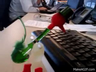 Drinking Typing Bird On Make A 