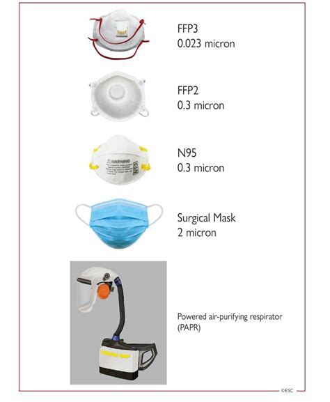 What Are Different Types Of Respirators At Betty Ammerman Blog