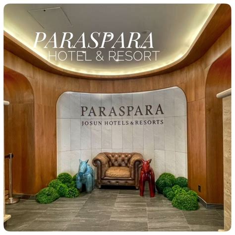 파라스파라 서울 호캉스 팀버 주니어룸 및 부대시설 수영장 자쿠지 네이버 블로그