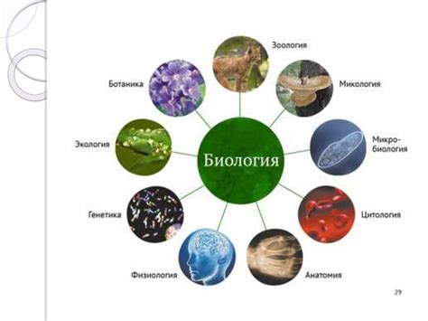 Наука изучающая мир живых организмов их строение жизнедеятельность презентация онлайн