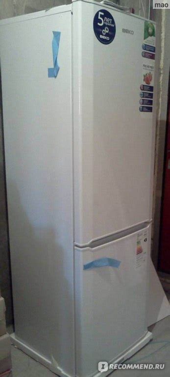 Двухкамерный холодильник BEKO CN 327120 - «Идеальное соотношение цена ...