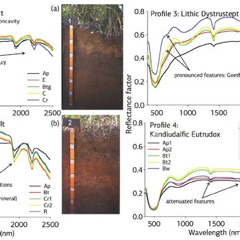 PDF Spectral behavior of some modal soil profiles from São Paulo State Brazil