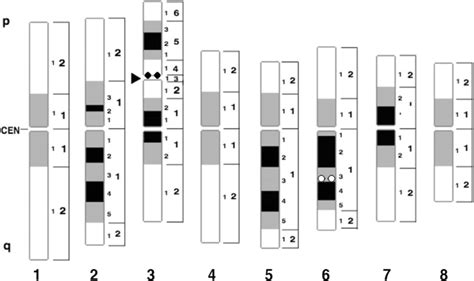 Idiogram Experience The Magic Ideogramai Is Live In Mydesigns