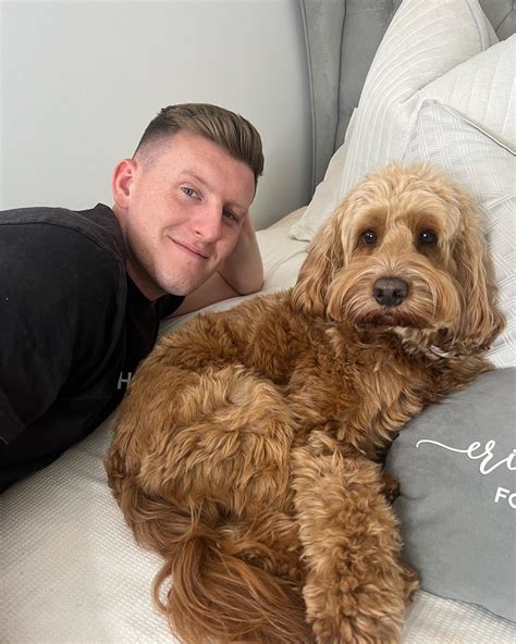 Ernie💫 Erniecockapoo • Instagram Photos And Videos