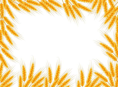 Premium Vector Wheat Frame Template