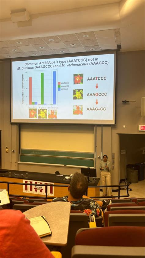 Surbhi Kumawat On Linkedin It Was A Nice Experience To Present My Work