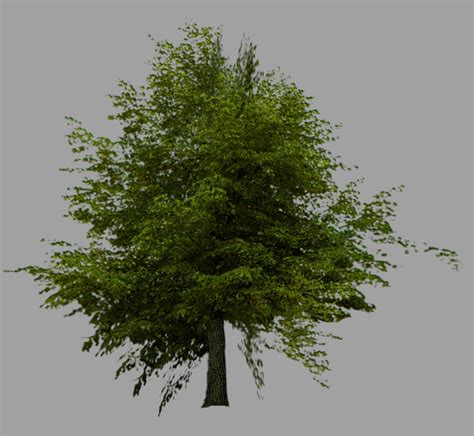 LS2013 Trees Pack v 1 2 Objekte Mod für Landwirtschafts Simulator 2013
