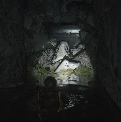 Would Anyone Know What This Graphic Setting Is R ThelastofusPC