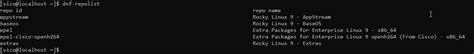 Updating Packages In Rocky Linux Using Dnf Lifeincloud