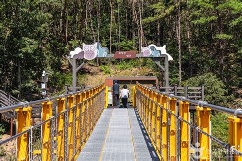 월영산 출렁다리