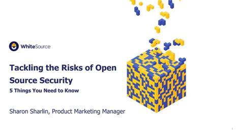 Tackling The Risks Of Open Source Security 5 Things You Need To Know Ppt