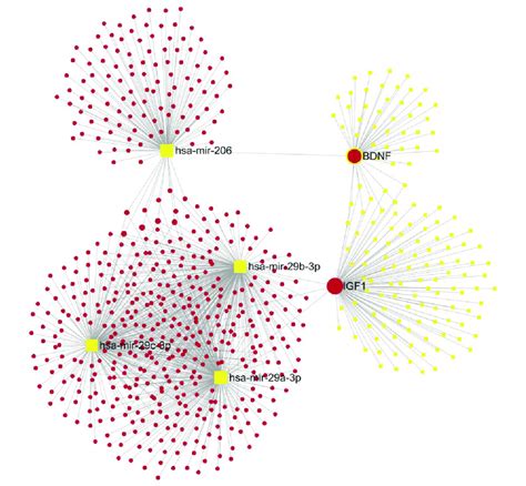 Network Interaction Mirna Mrna Generate Cluster Download Scientific Diagram