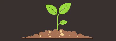 What Is The Monotonicity Criterion In Voting Systems