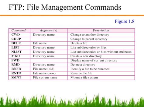 13 Coms 525 Tcpip Applications File Transfer Protocol Ppt