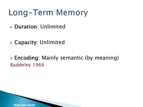 What Is Semantic Encoding In Psychology Jnrbf