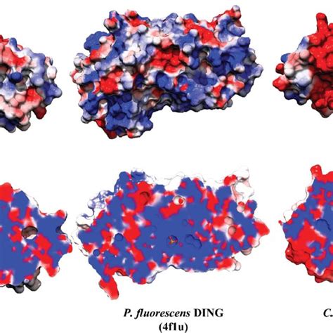 Molecular Replacement Solutions Obtained Using Polyalanine Models Of Download Scientific