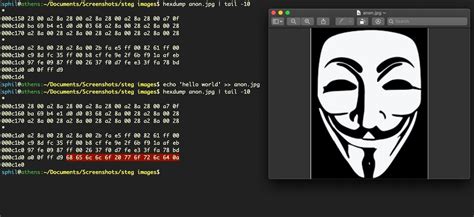 What Is Steganography Protecting From Malicious Images