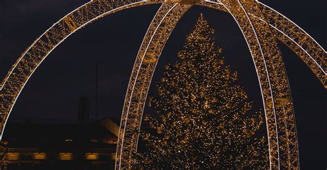 빌니우스의 웅장한 조명 크리스마스 트리 · 무료 스톡 사진