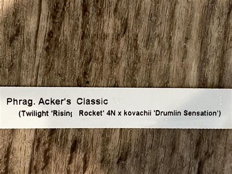 Rare Phrag Ackers Classic Twilight ‘rising Rocket 4n X Kovachii ‘drumlin Sensation 4 5