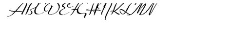suave script pro regular font what font is