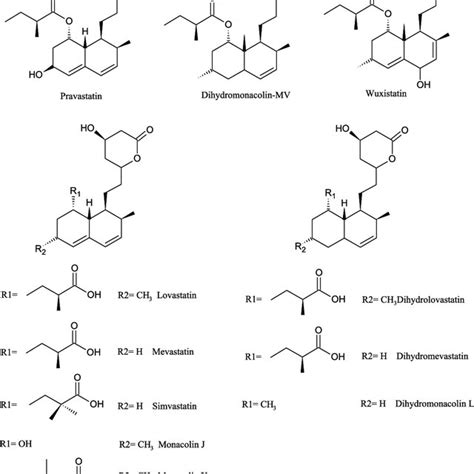 Structures Of Type I Statins Download Scientific Diagram