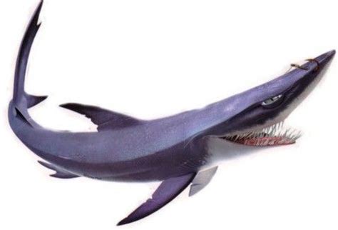 Finding Nemo Characters Bruce Anchor And Chum