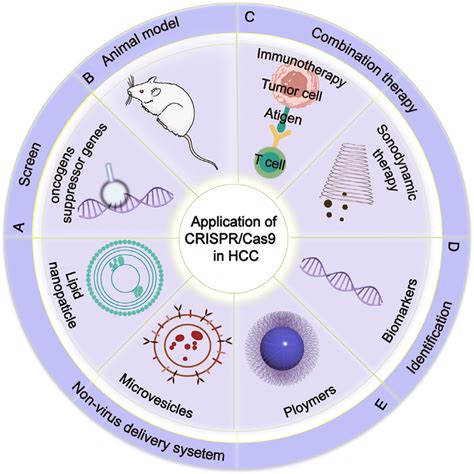 Overview Of Crisprcas9 Gene Editing Technology That Participate In