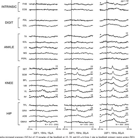 Figure 1 From Properties Of Primary Motor Cortex Output To Hindlimb Muscles In The Macaque