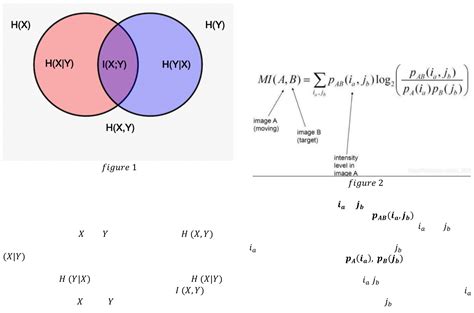 論文レビュー Mutual Information Calculation On Different Appearances