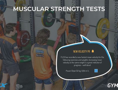 Dynamic Strength Index Practical Uses