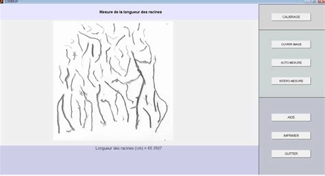 Figure N°2 Interface Graphique De Lapplication Download Scientific Diagram