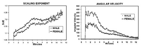 Abstract 1780 Sex Differences Exist In Porcine Ventricular Fibrillation Morphology Circulation