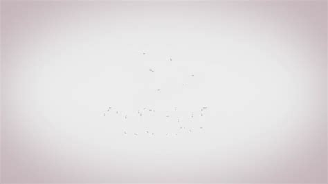 Sap Risewithsap Hana Saphana Sapsuccessfactors Sapcloud… Karim Sultan