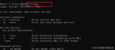 【python】非常优秀的网站视频下载工具：you Getyou Get下载视频python Csdn博客