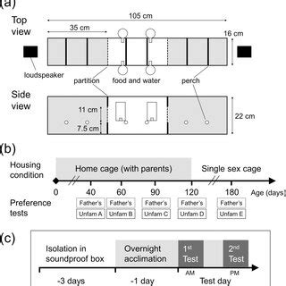 Overview Of Experimental Methods A A Schematic Diagram Of The Test Download Scientific