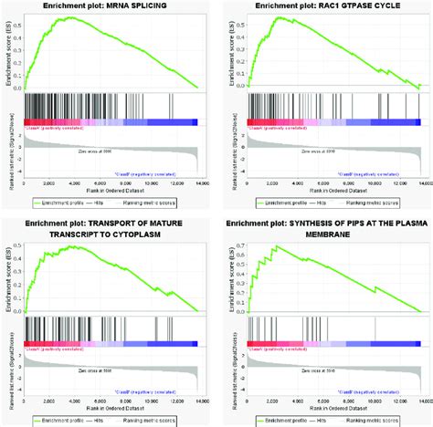 Representative Reactome Enrichment Plots Of The Elav Group For Each Download Scientific