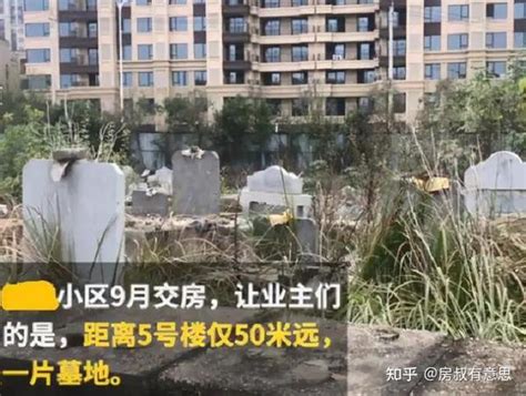 活人住进坟景房学区配套成奢望倾尽半生积蓄换来一部买房血泪史 知乎