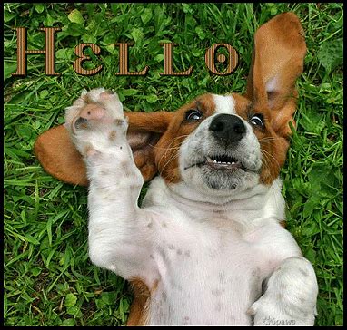Hello R Funny