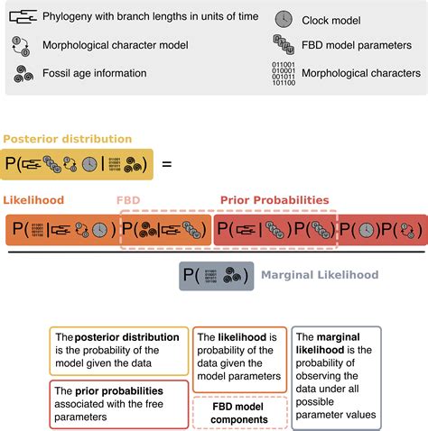 From Fossils To Phylogenies Exploring The Integration Of Paleontological Data Into Bayesian