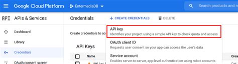 Google Cloud Platform API Key Knowledge Base EnterMedia 10