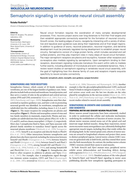 Pdf Semaphorin Signaling In Vertebrate Neural Circuit Assembly