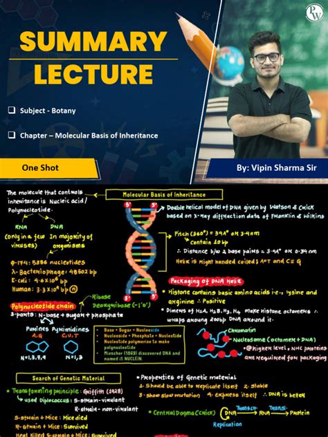 Molecular Basis Of Inheritance Class 12 Pdf
