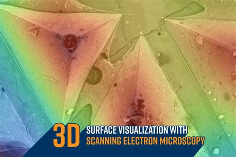 Unlocking New Dimensions D Surface Visualization With Scanning Electron Microscopy
